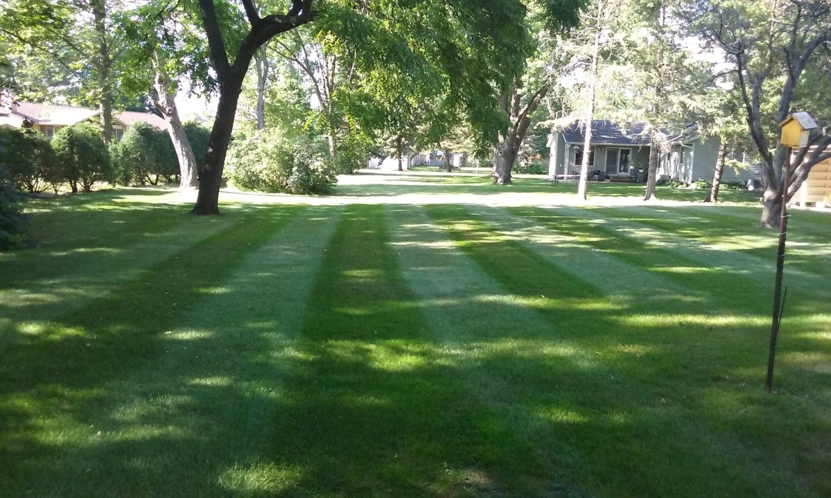 Photo Gallery - The Lawn Barber