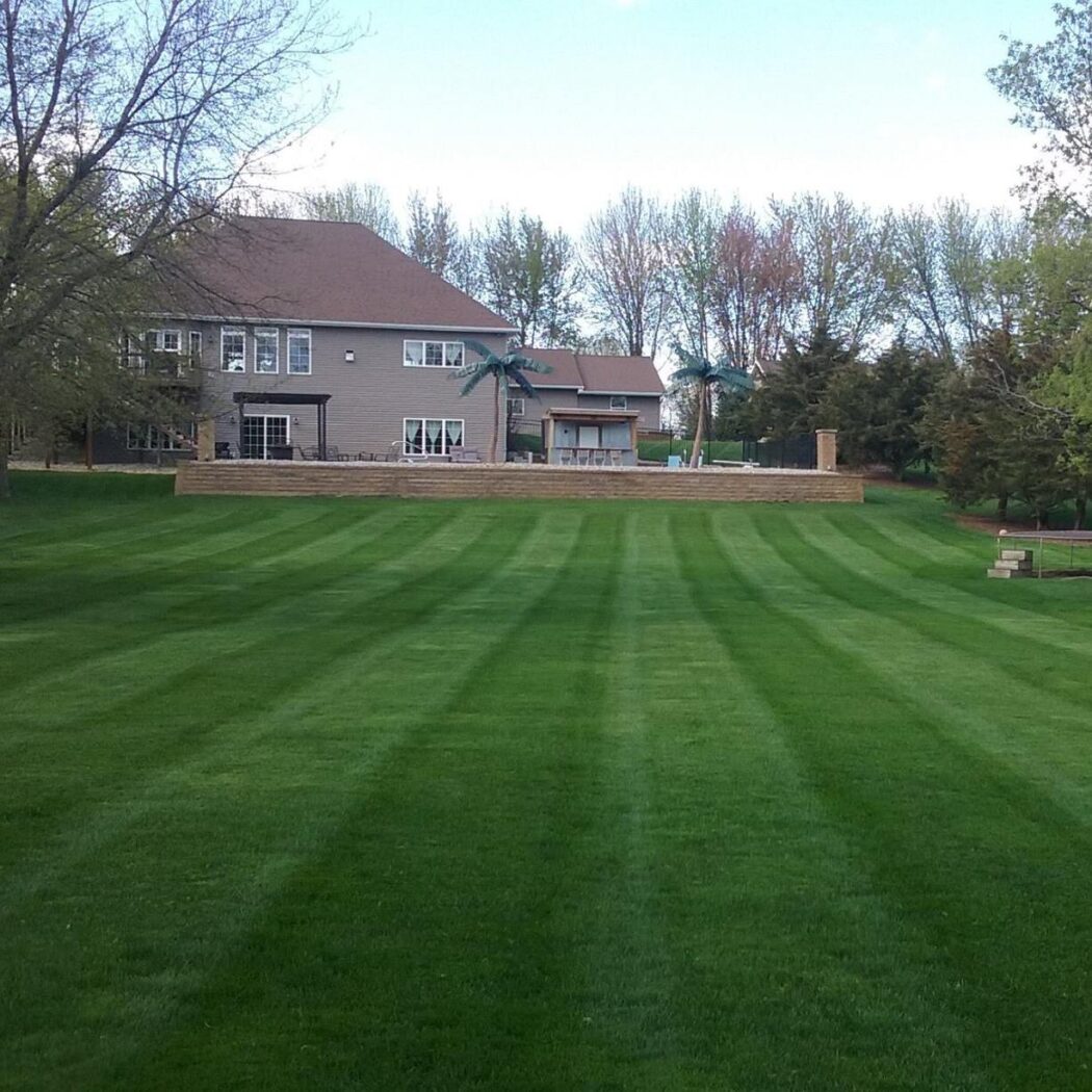 Photo Gallery - The Lawn Barber