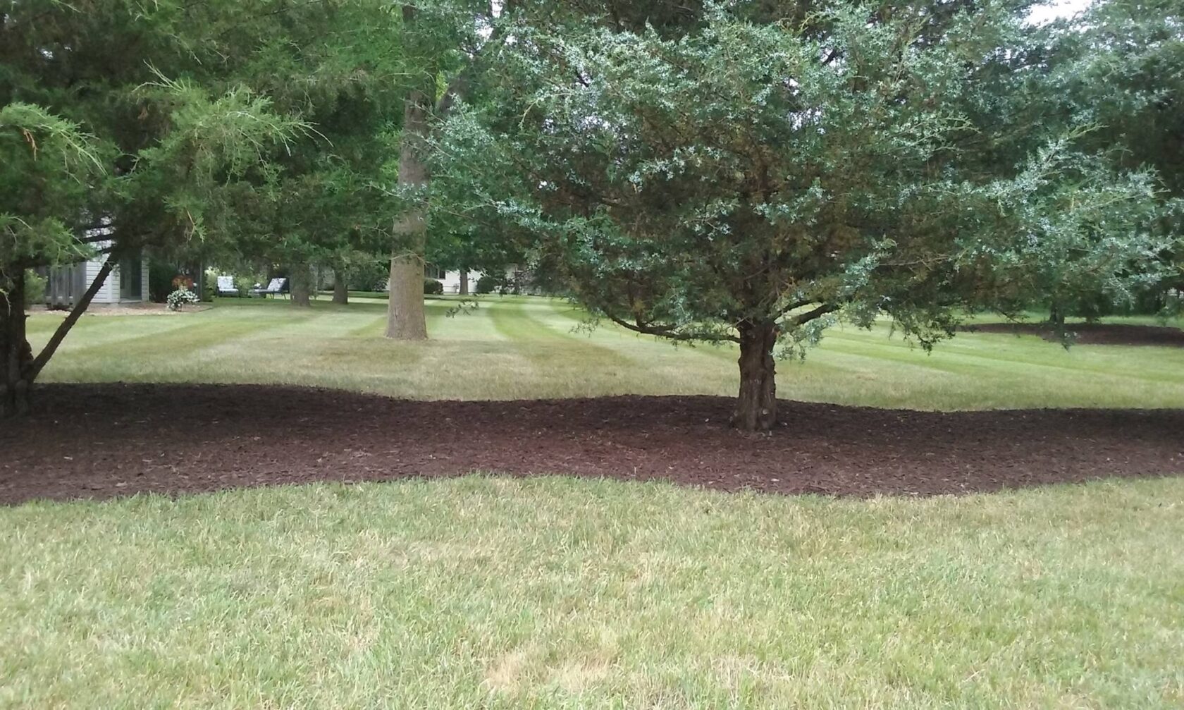 Photo Gallery - The Lawn Barber