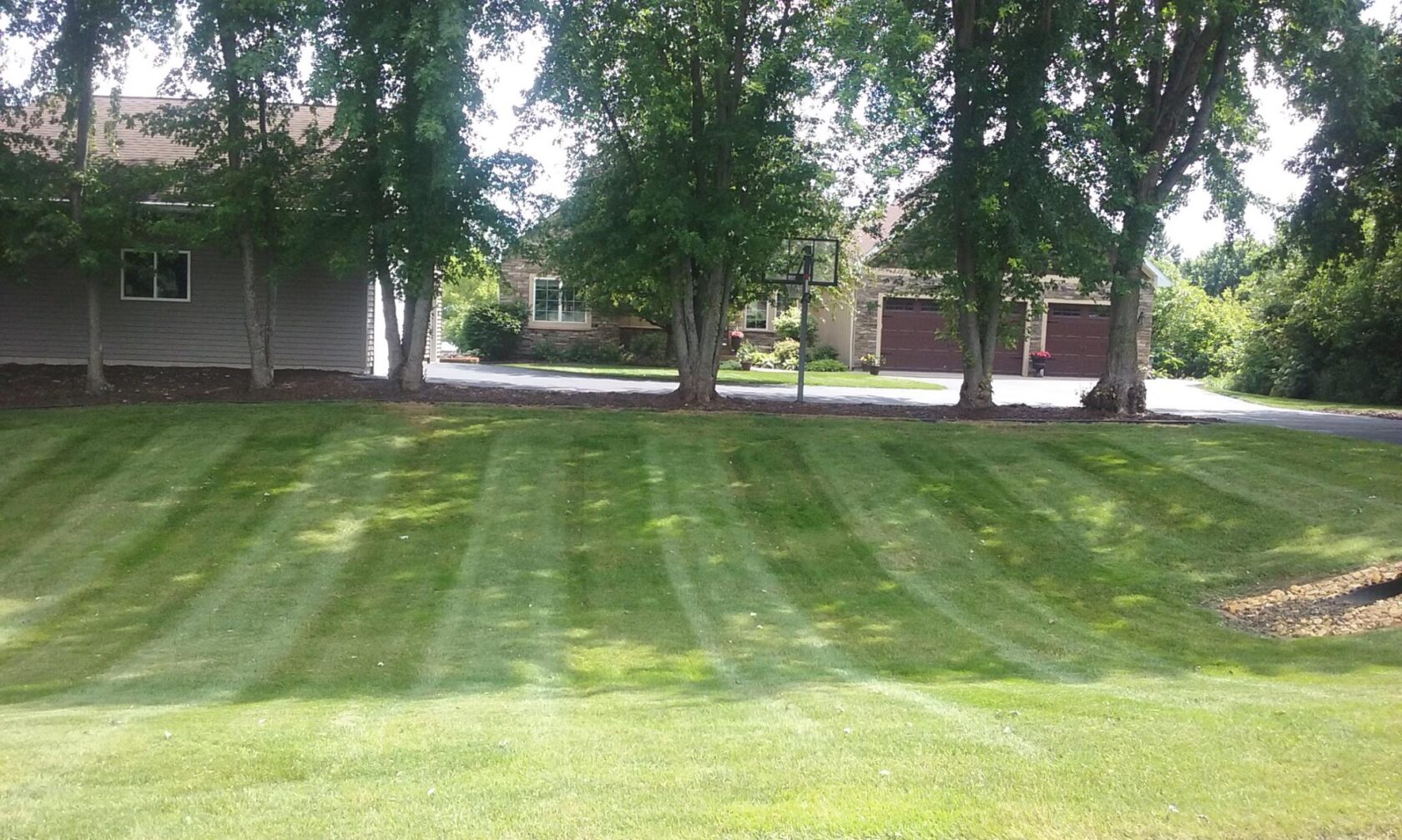 Photo Gallery - The Lawn Barber