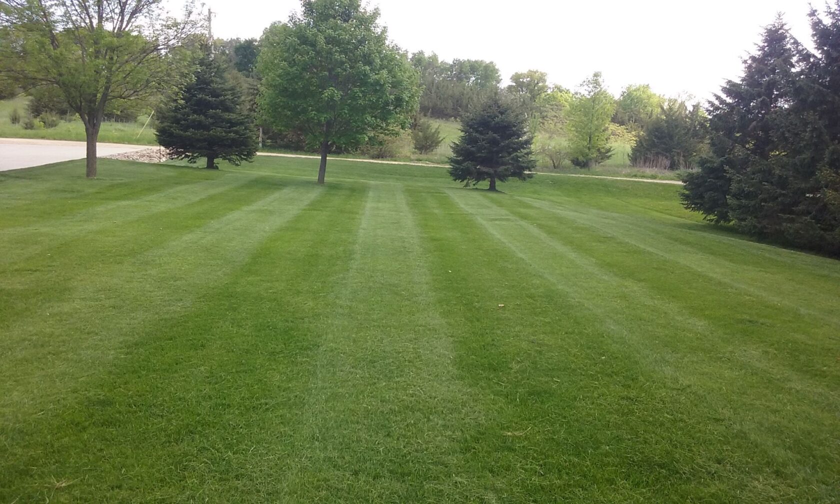 Photo Gallery - The Lawn Barber