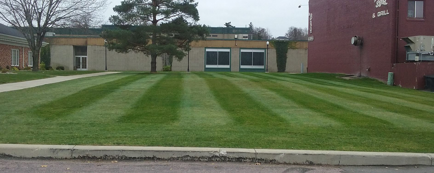 Services - The Lawn Barber