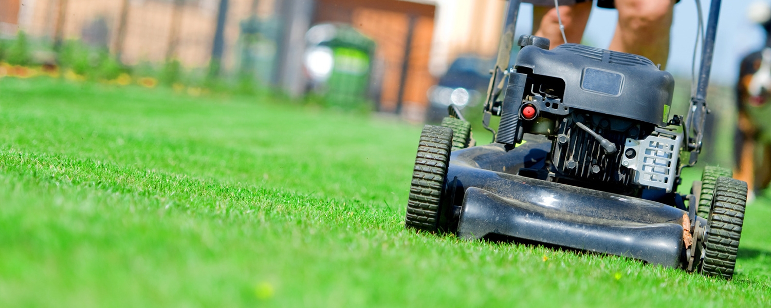 Employment - The Lawn Barber