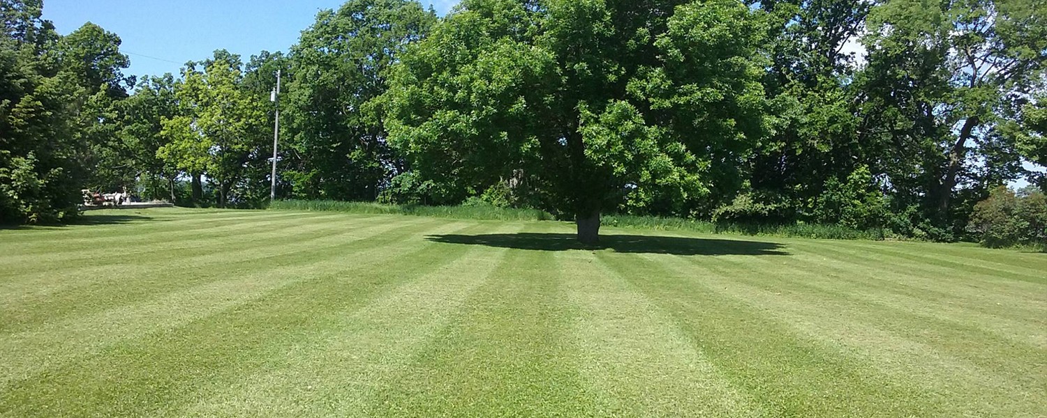 Photo Gallery - The Lawn Barber