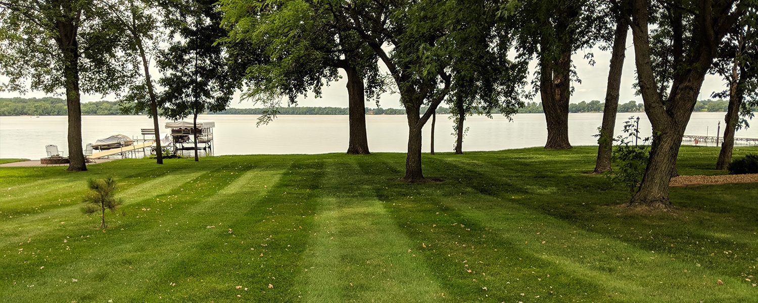 Testimonials - The Lawn Barber